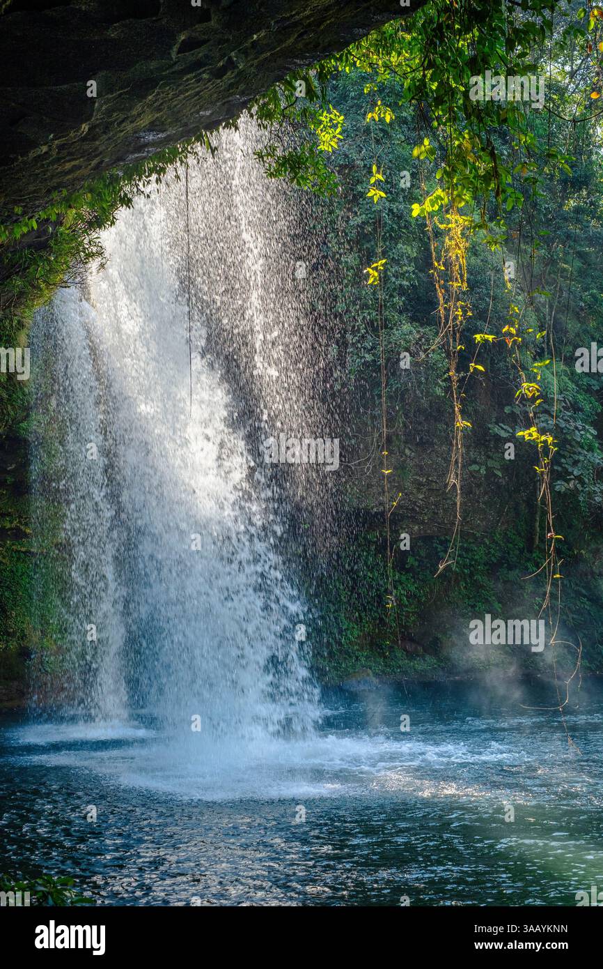 Laos, Champasak province, Bolaven Plateau, Paksong, Tad Champee ...