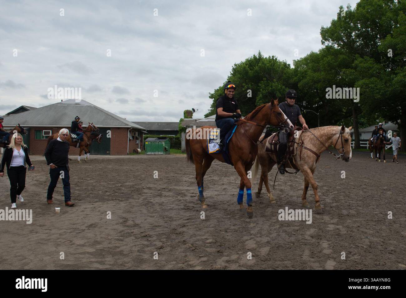 June 7, 2018 - Elmont, NY, USA - JILL and BOB BAFFERT look on as Triple ...