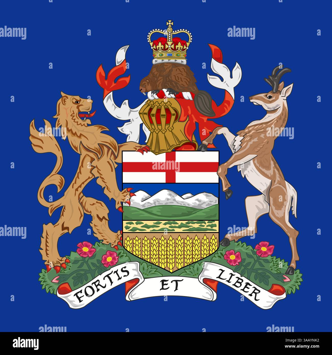 Alberta territorial and regional coat of arms, Canada, north american country, vector ...