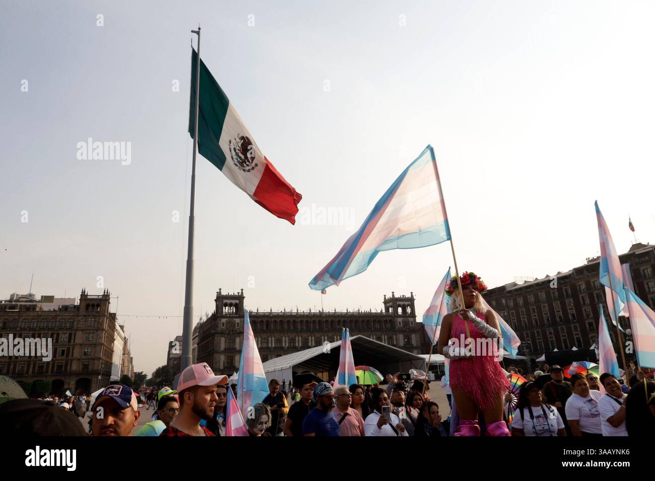 Mexico City, Mexico. 31st Mar, 2025. A member of the transgender ...