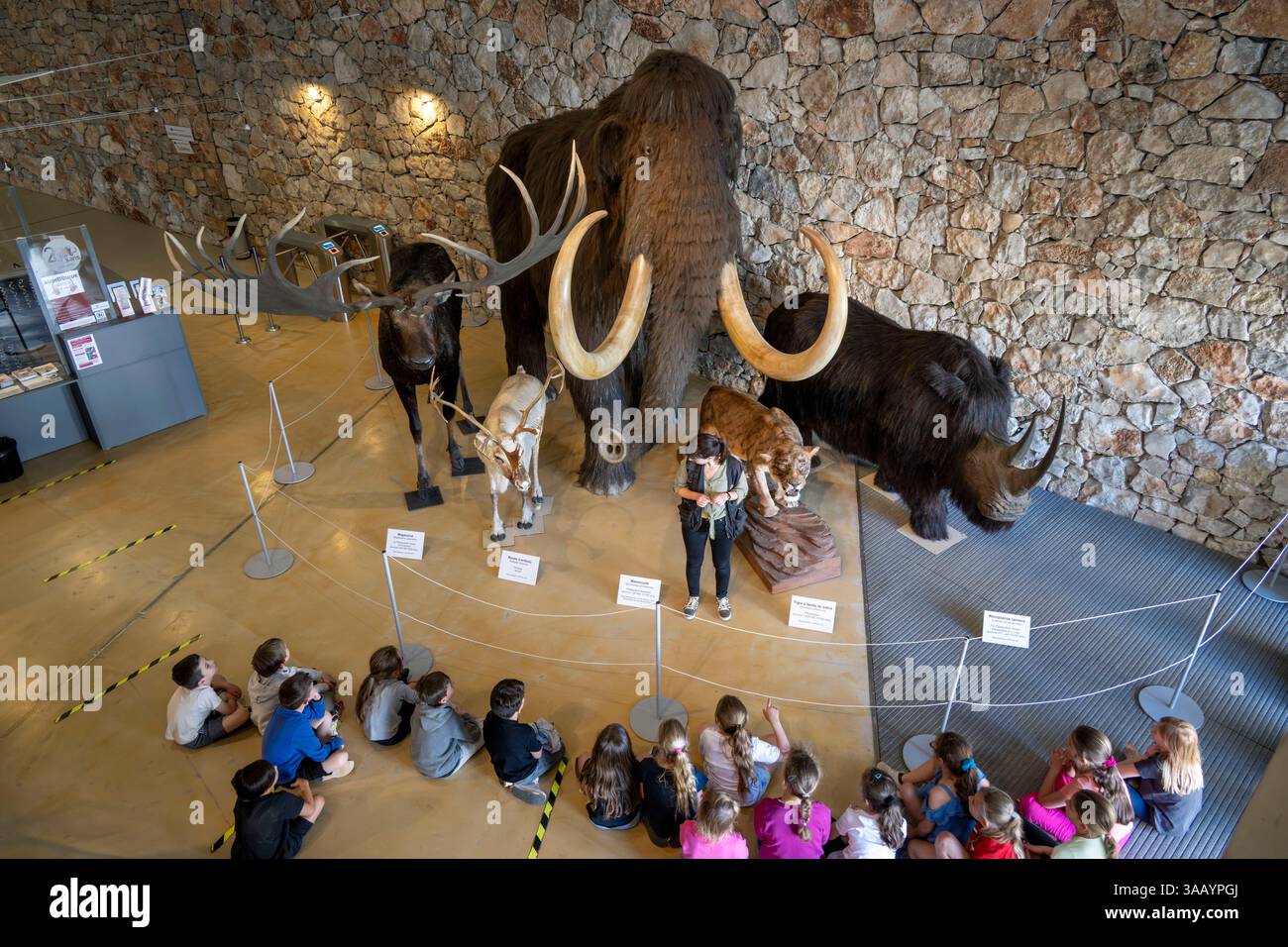 France, Alpes de Haute Provence, Parc Naturel Régional du Verdon ...