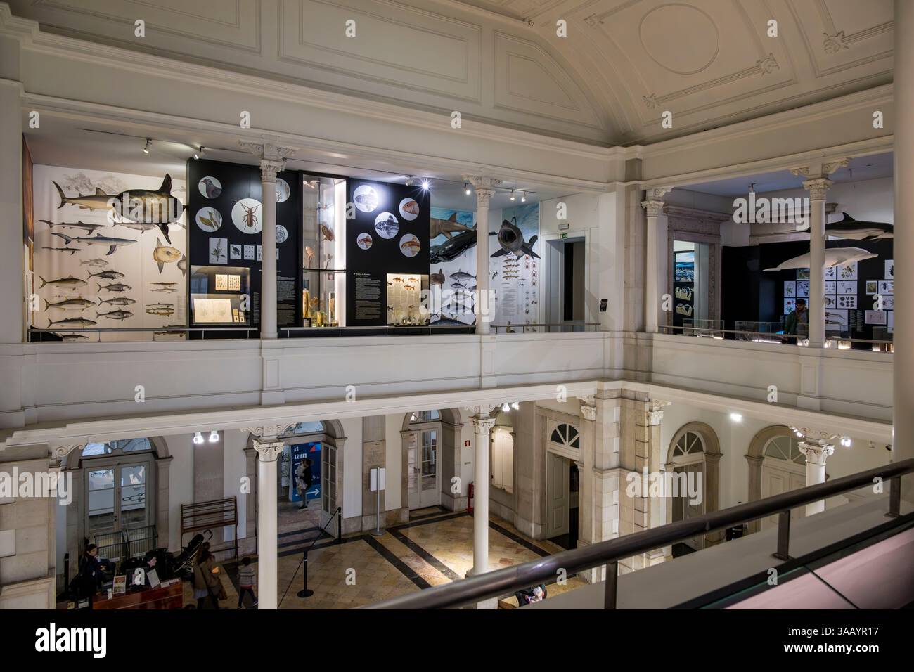 Portugal, Lisbon, National Museum of Natural History and Science (Museu ...