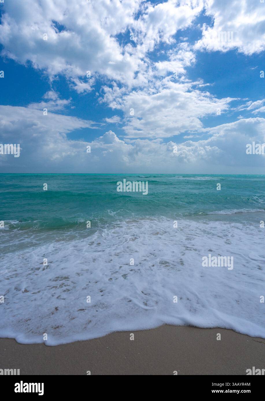 Sea beach sand. Scenic sea beach backdrop. Paradise ocean view. Foamy ocean background. Exotic ...