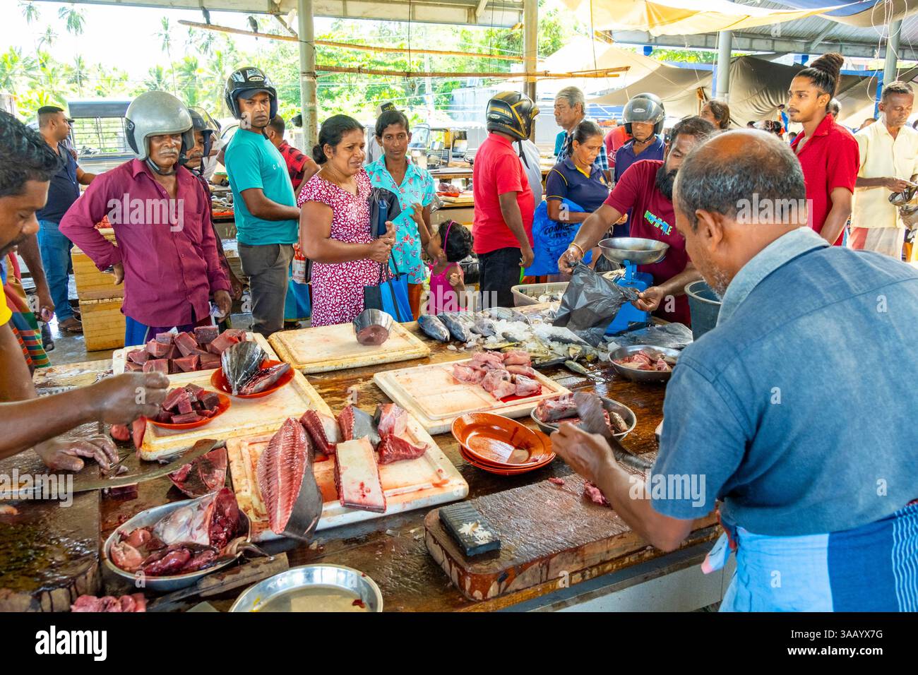 Sri Lanka, Vintage Royal Enfield motorcycle Raid, Udawalawe to Galle ...