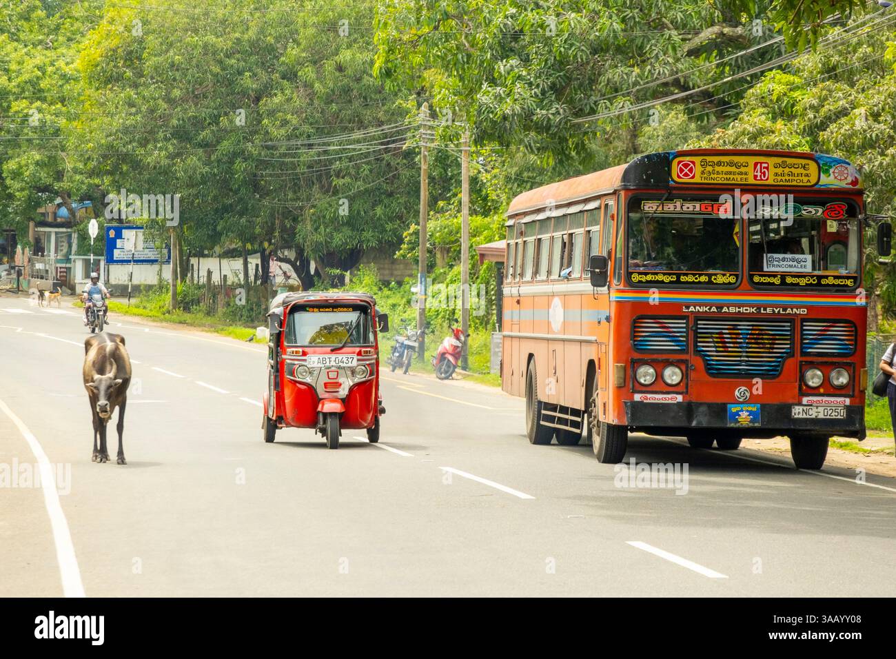 Sri Lanka, Vintage Royal Enfield Motorcycle Raid, Sigiriya to ...