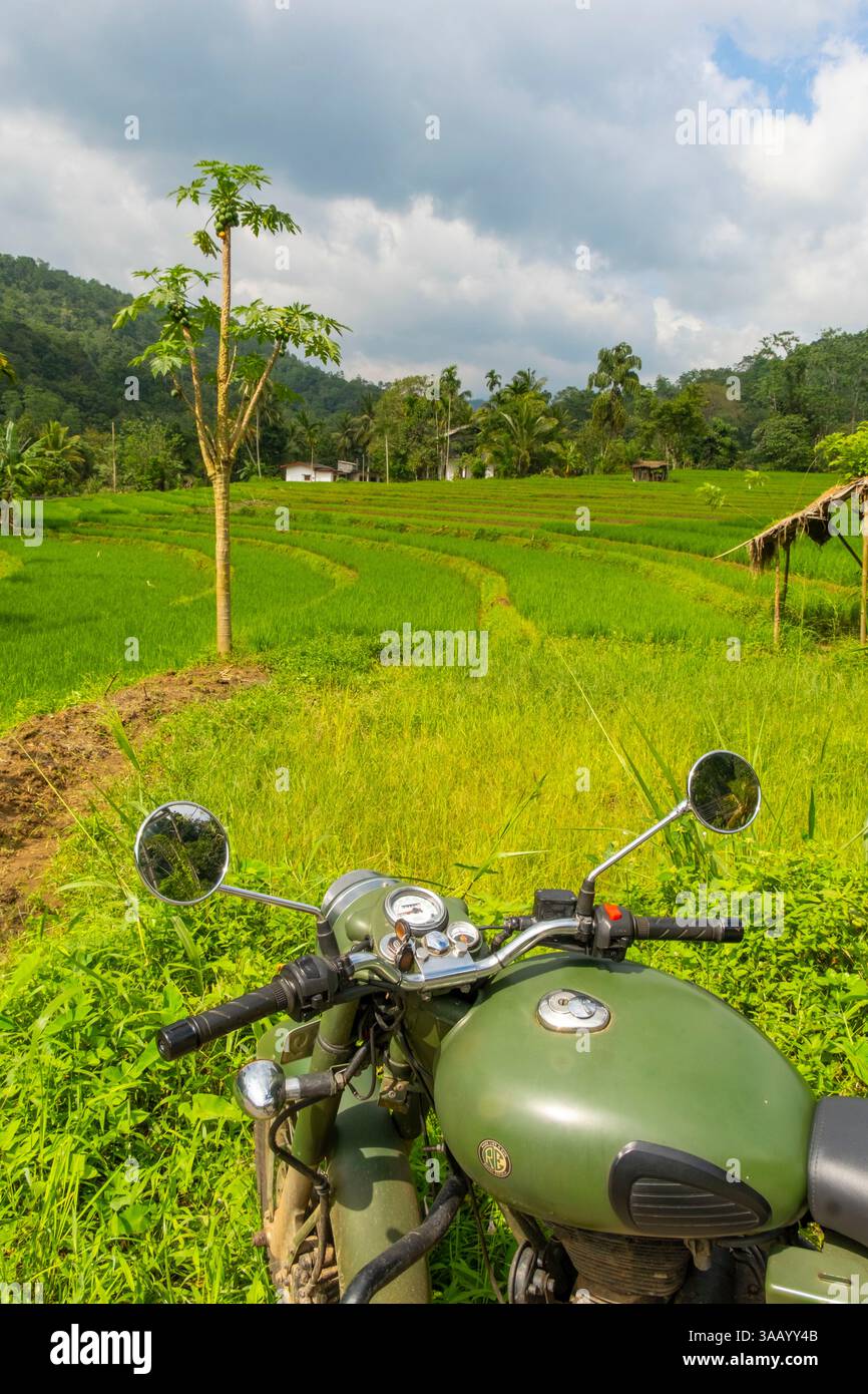 Sri Lanka, Vintage Royal Enfield Motorcycle Raid, Wasgamuwa to Knuckles ...