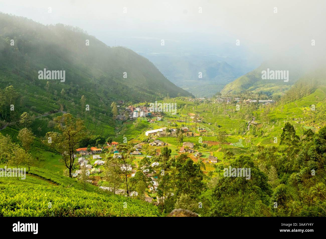 Sri Lanka, Vintage Royal Enfield Motorcycle Raid, Ella to Udawalawe ...