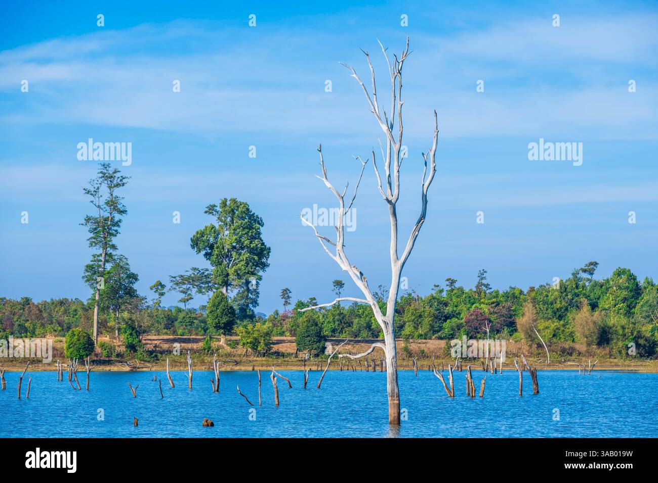 Laos, Khammouane province, Nakai district, Nakai-Nam Theun National ...