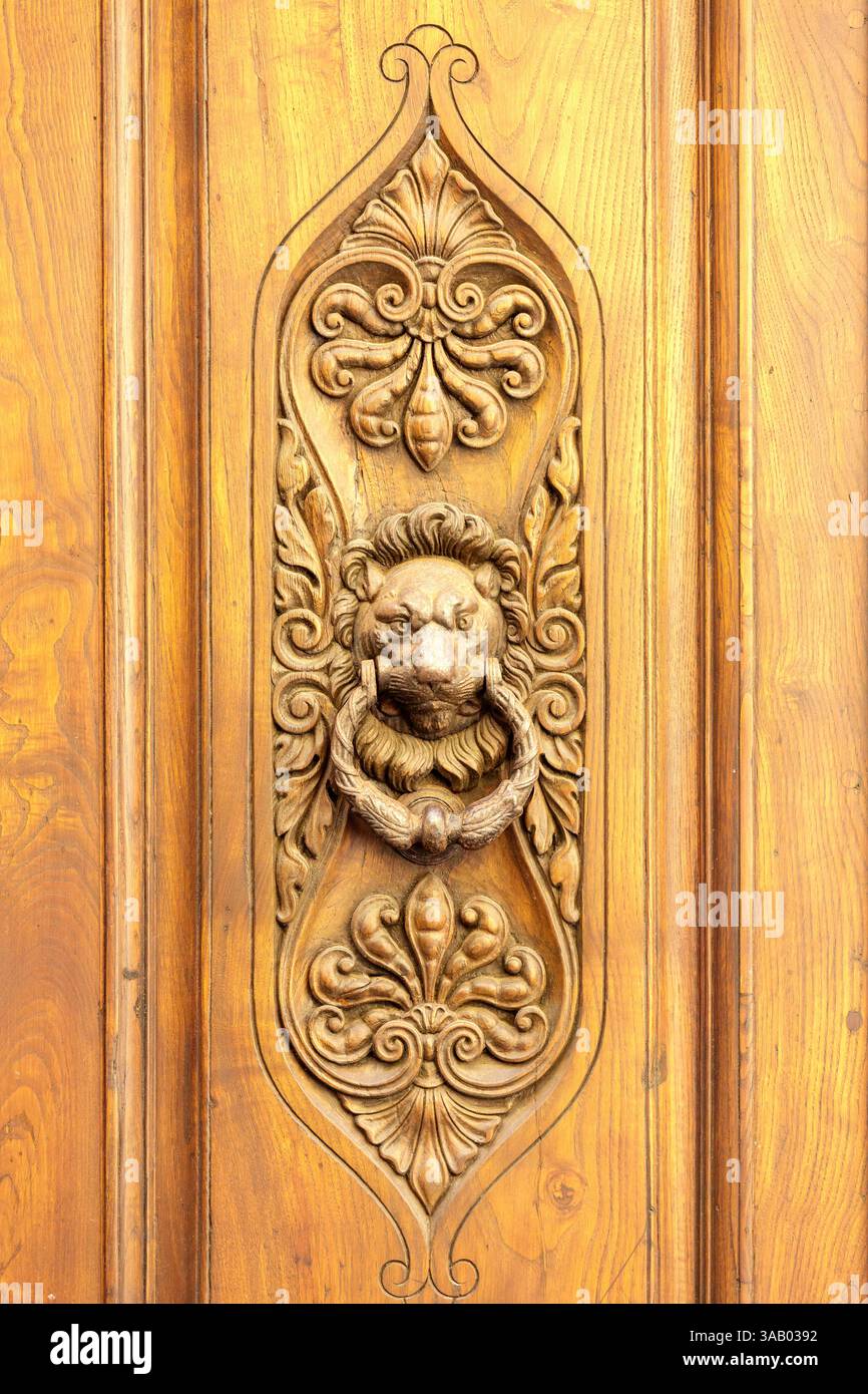 Italy, Tuscany, Lucca province, Lucca, detail of the door of a house ...