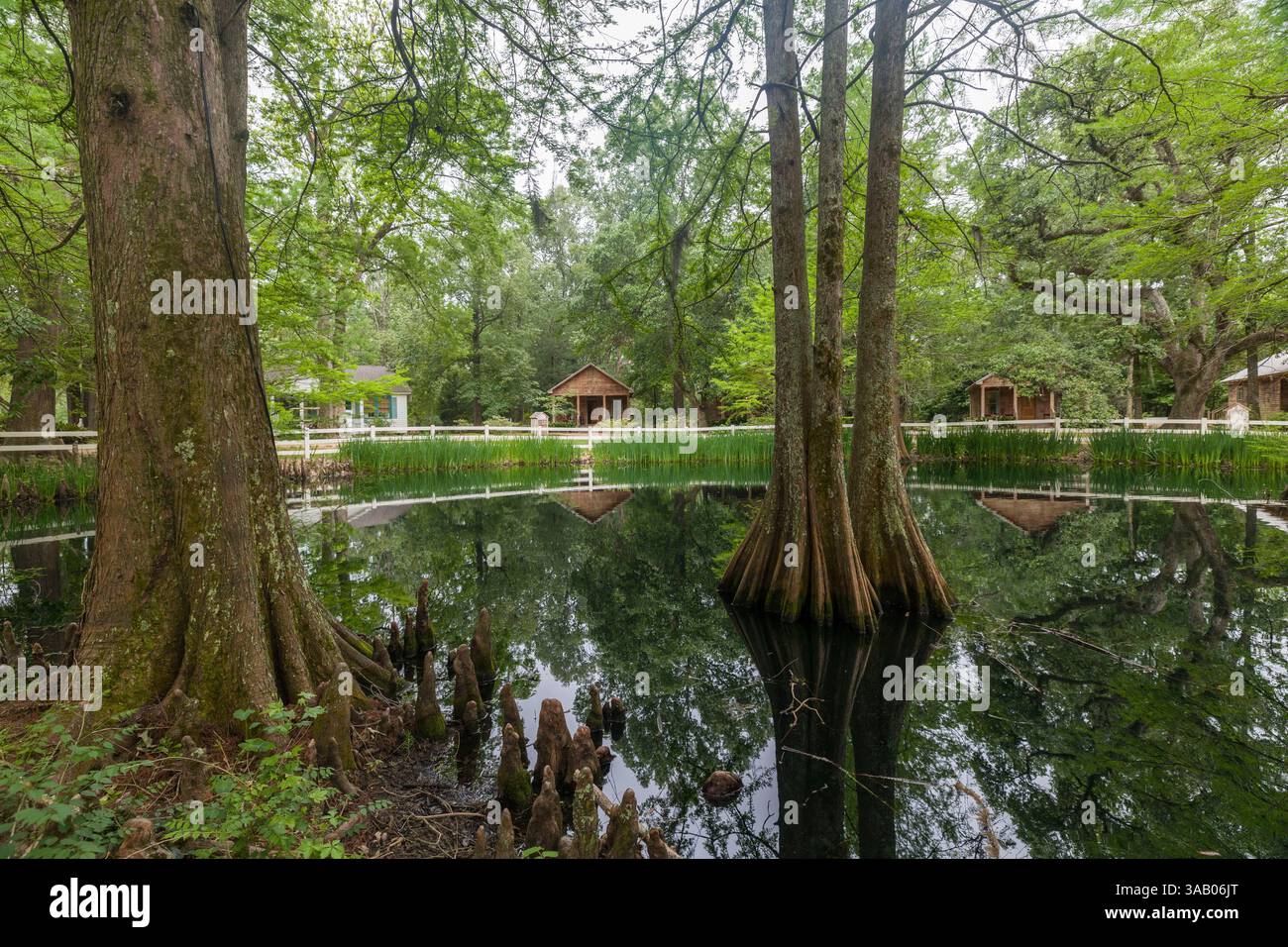 United States, Louisiana, St-Francisville, the Myrtles Plantation Stock ...