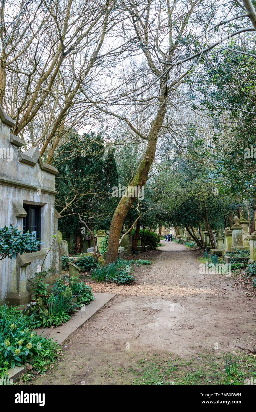 Highgate West Cemetery seen from the North gate in Swains Lane ...