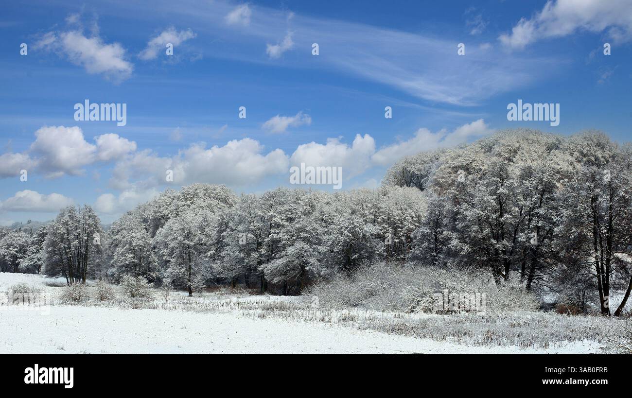 Nature in winter under snow in denmark Stock Photo - Alamy