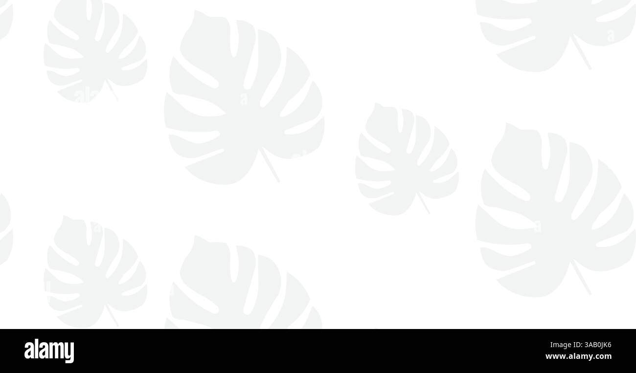 Monstera leaves minimal background Black and White Stock Photos ...