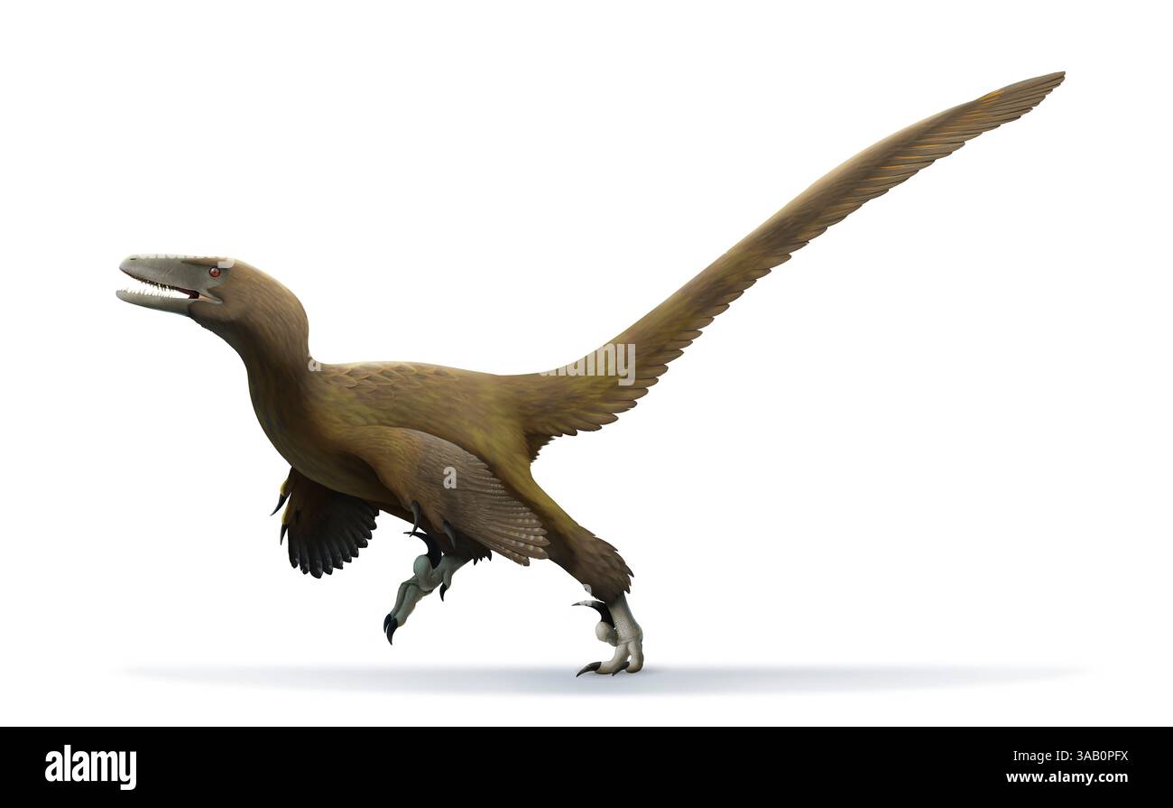 Deinonychus, a classic raptor from the Early Cretaceous period Stock ...