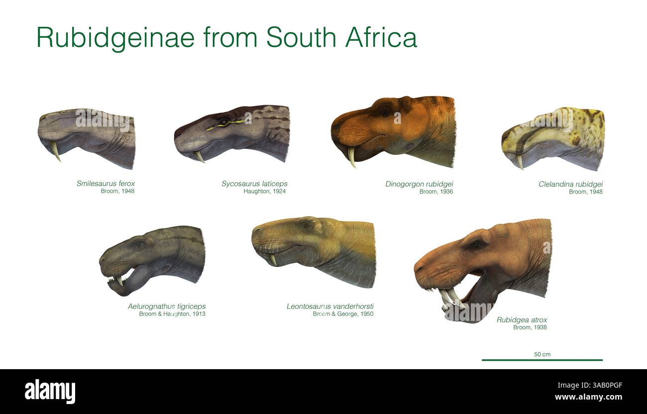 Permian high Cut Out Stock Images & Pictures - Alamy