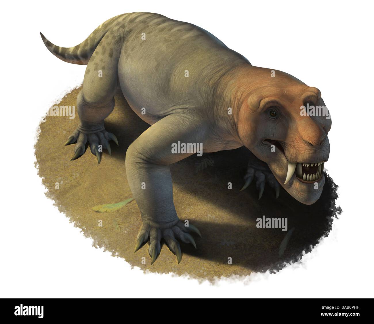 Gorgonopsia hi-res stock photography and images - Alamy