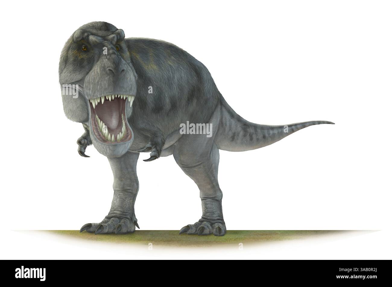 A feathered depiction of Tyrannosaurus rex Stock Photo - Alamy