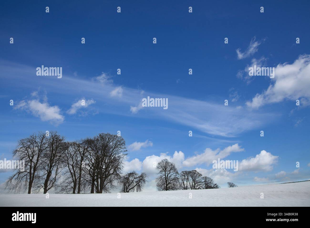 Outdoor winter scenes hi-res stock photography and images - Alamy