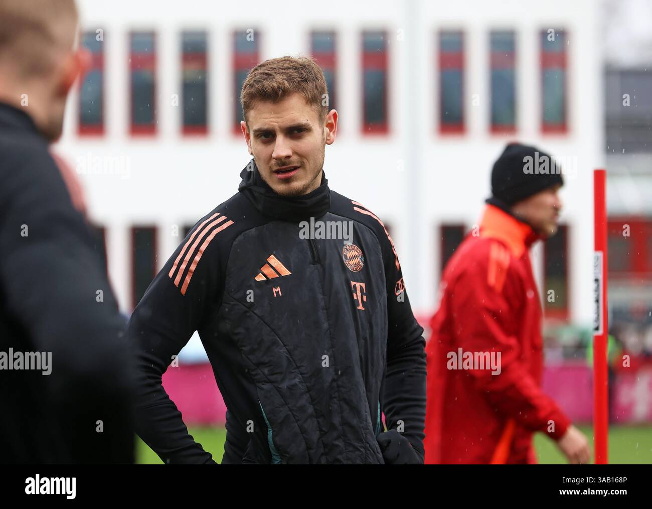 Fussball, Herren, Saison 2024/2025, FC Bayern München, öffentliches ...