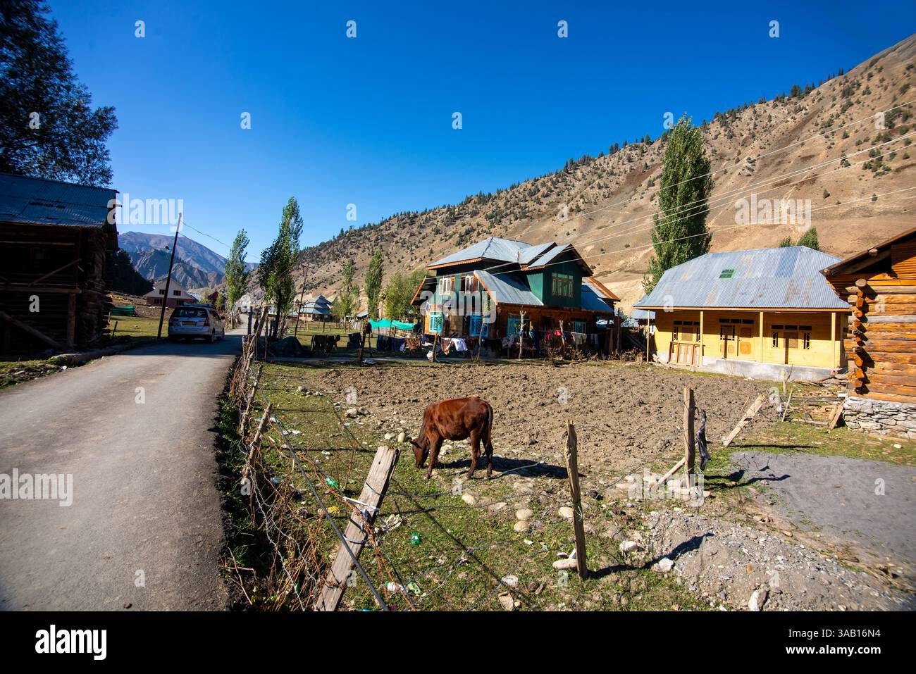 Sheikhpura village, Tulail valley, Kashmir, Union Territory, UT, India ...