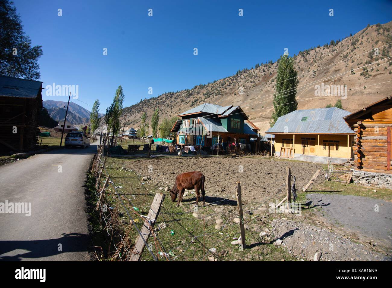 Sheikhpura village, Tulail valley, Kashmir, Union Territory, UT, India ...