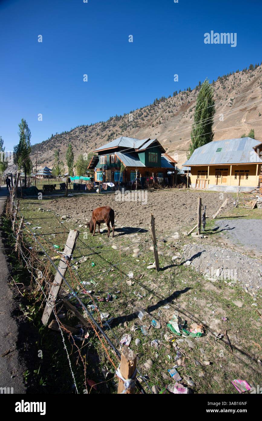 Sheikhpura village, Tulail valley, Kashmir, Union Territory, UT, India ...