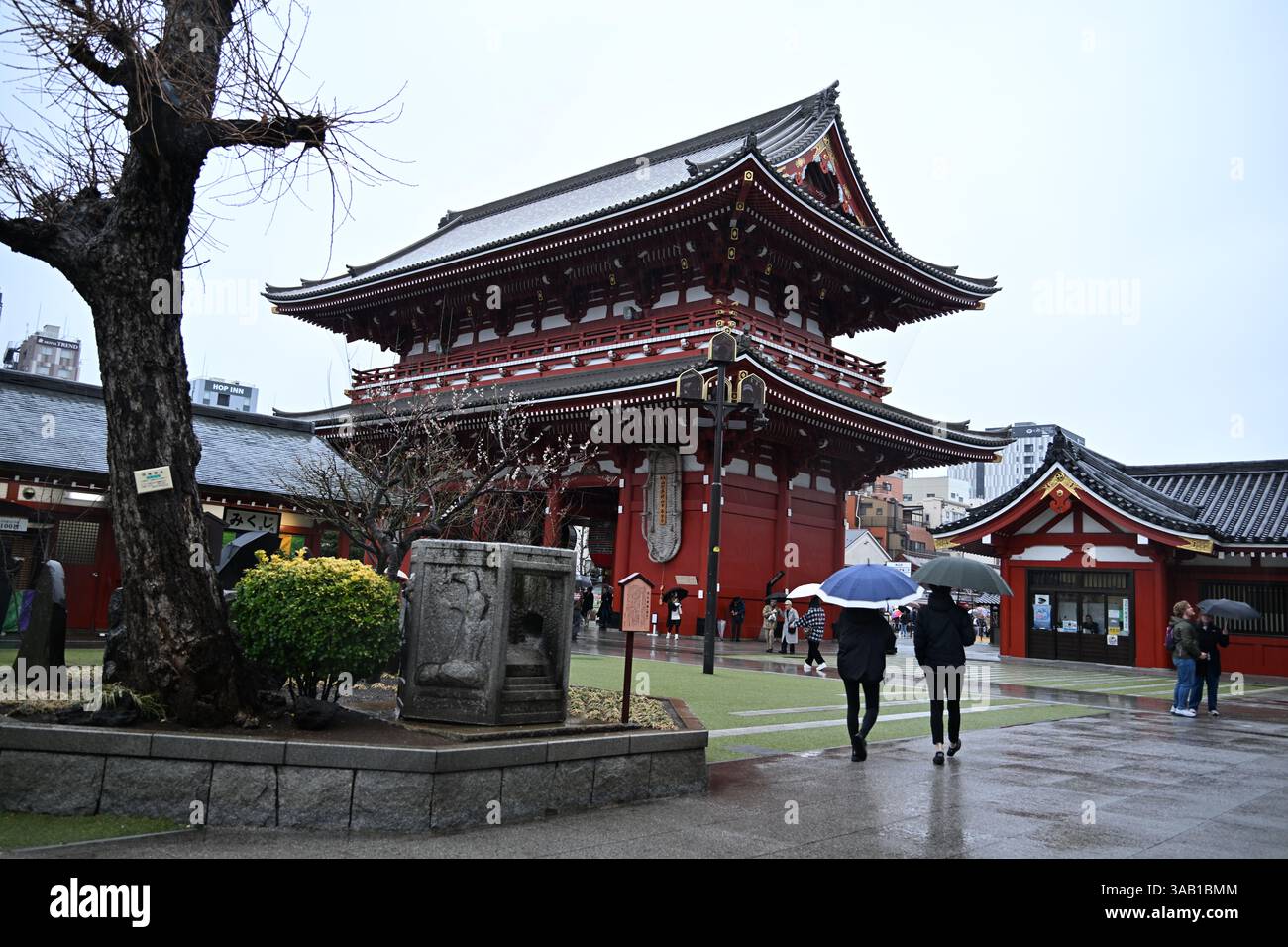Asakusa and Senso-ji Temple in Tokyo, Japan – cherry blossoms, Buddhist ...