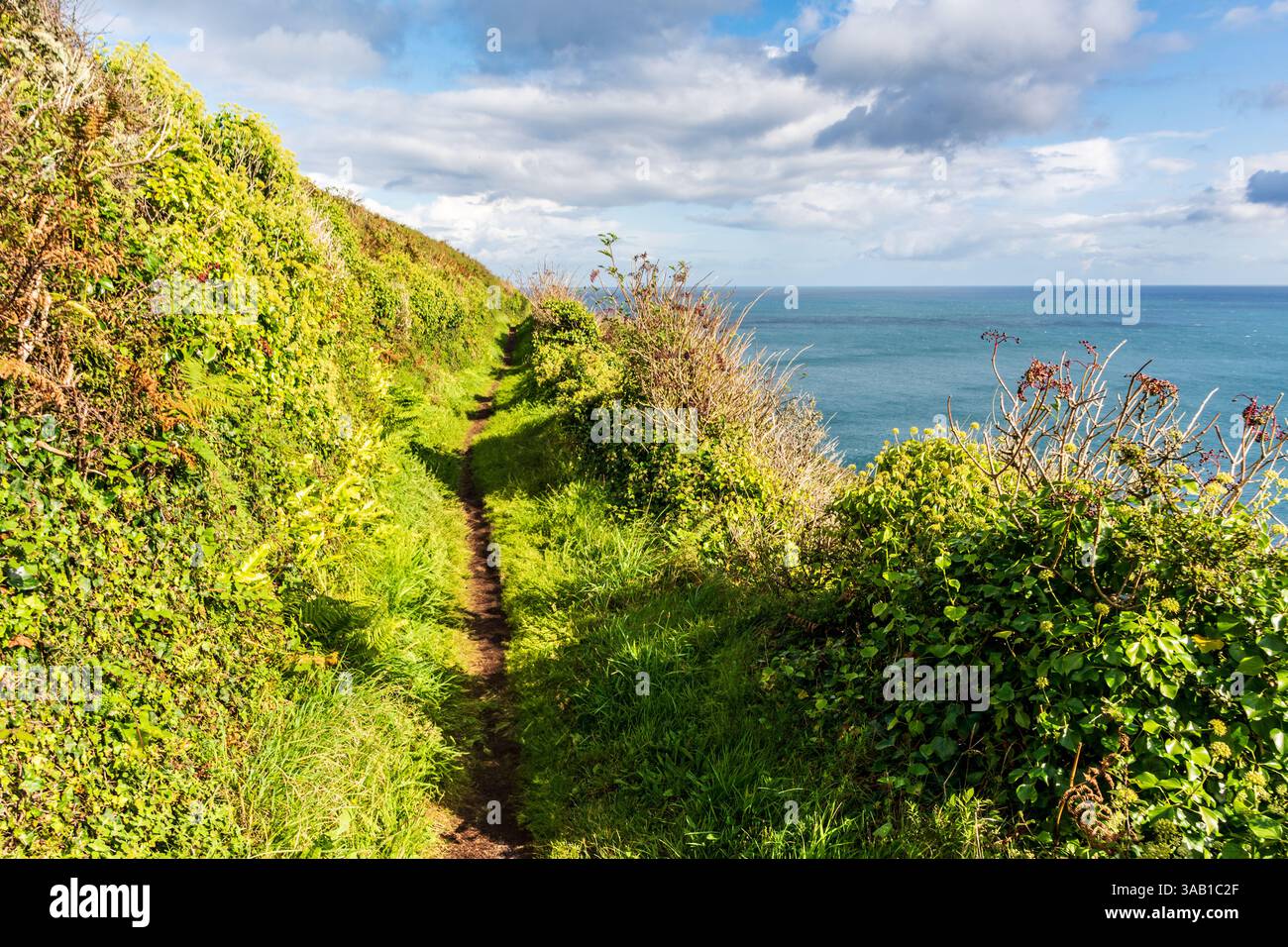 Walk along the lush green path bordering the Cornish coast near ...
