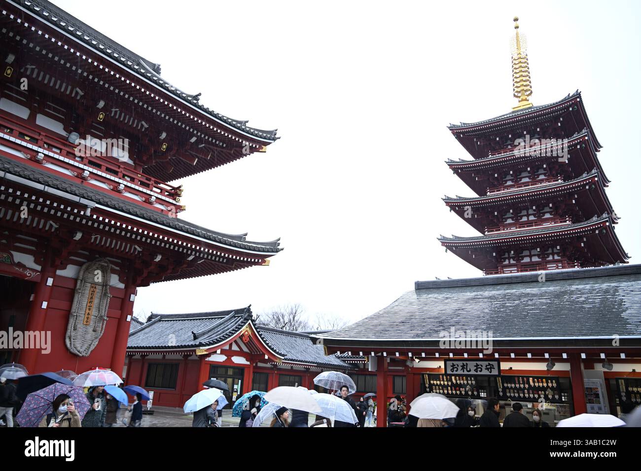 Asakusa and Senso-ji Temple in Tokyo, Japan – cherry blossoms, Buddhist ...