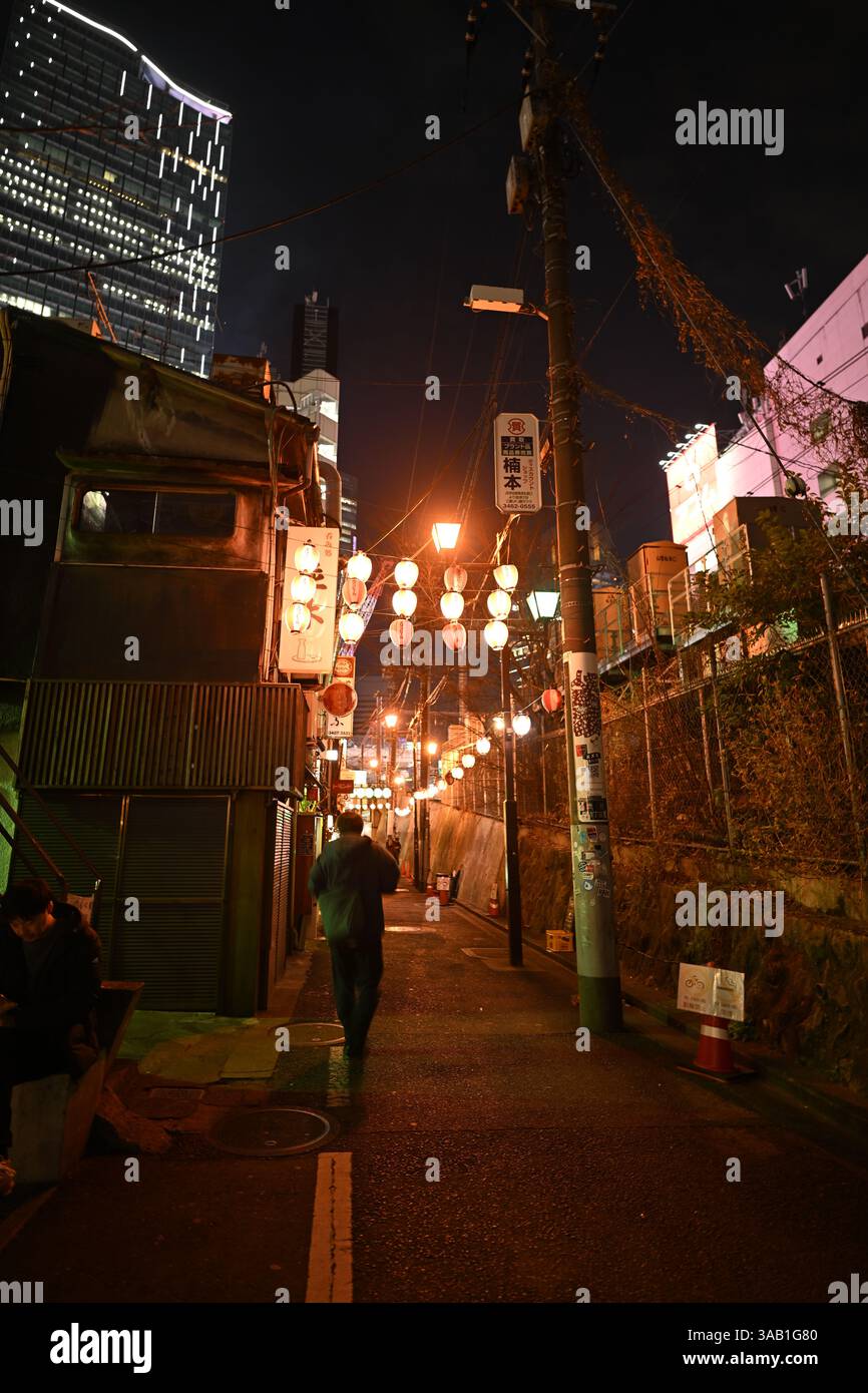 Traditional alleyways at night in Tokyo, Japan – lantern-lit izakayas ...