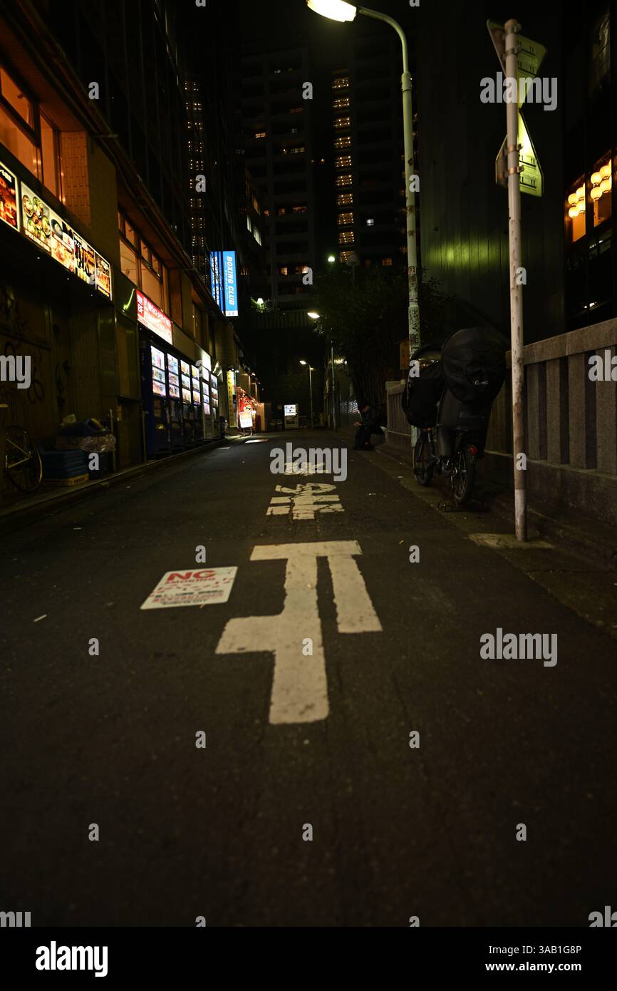 Night streets of Tokyo, Japan – neon-lit alleys, bicycles, and vibrant ...
