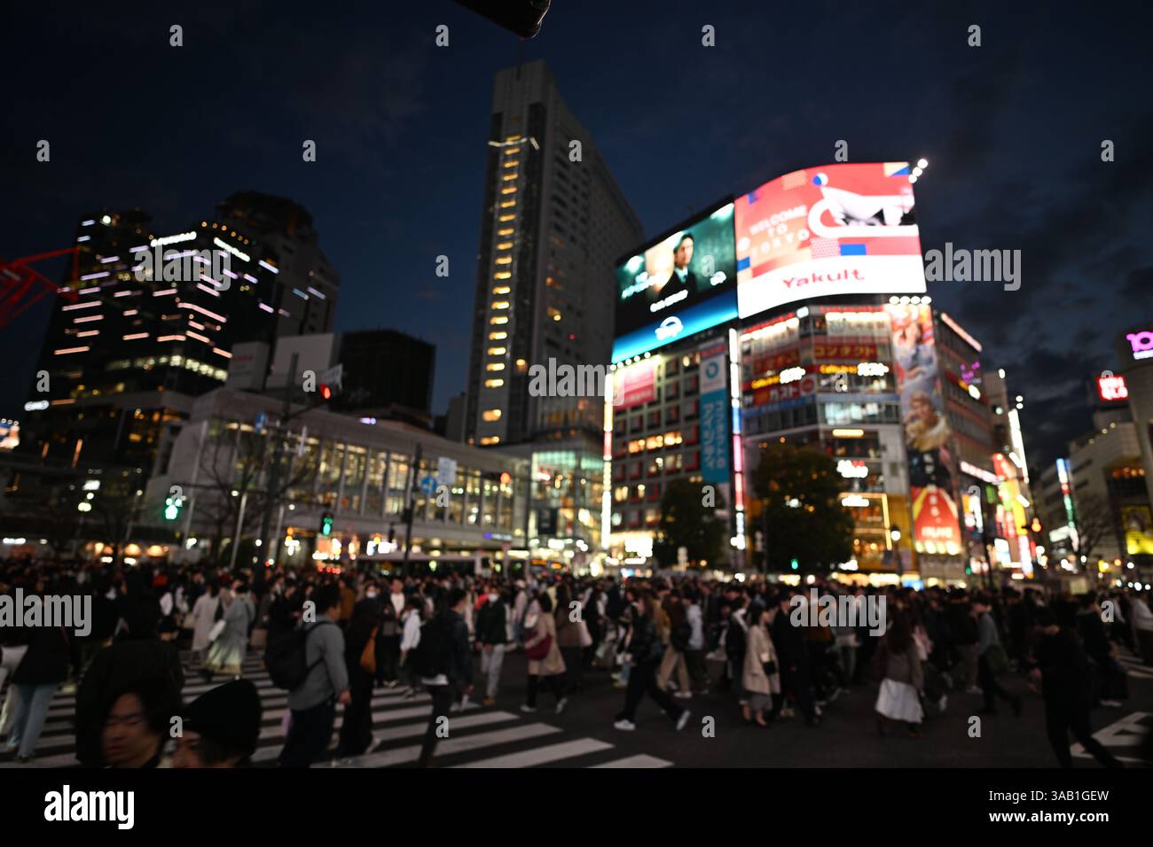 Shibuya Crossing at night in Tokyo, Japan – iconic pedestrian scramble ...