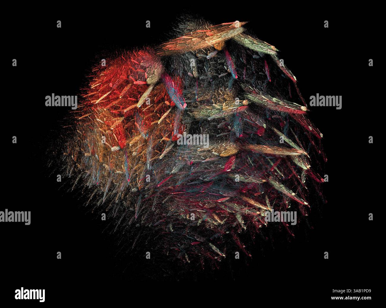 Spore color hi-res stock photography and images - Alamy
