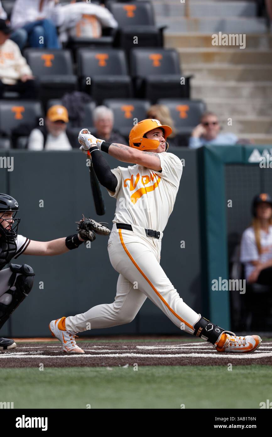 Tennessee Volunteers right fielder Reese Chapman (13) at bat against ...
