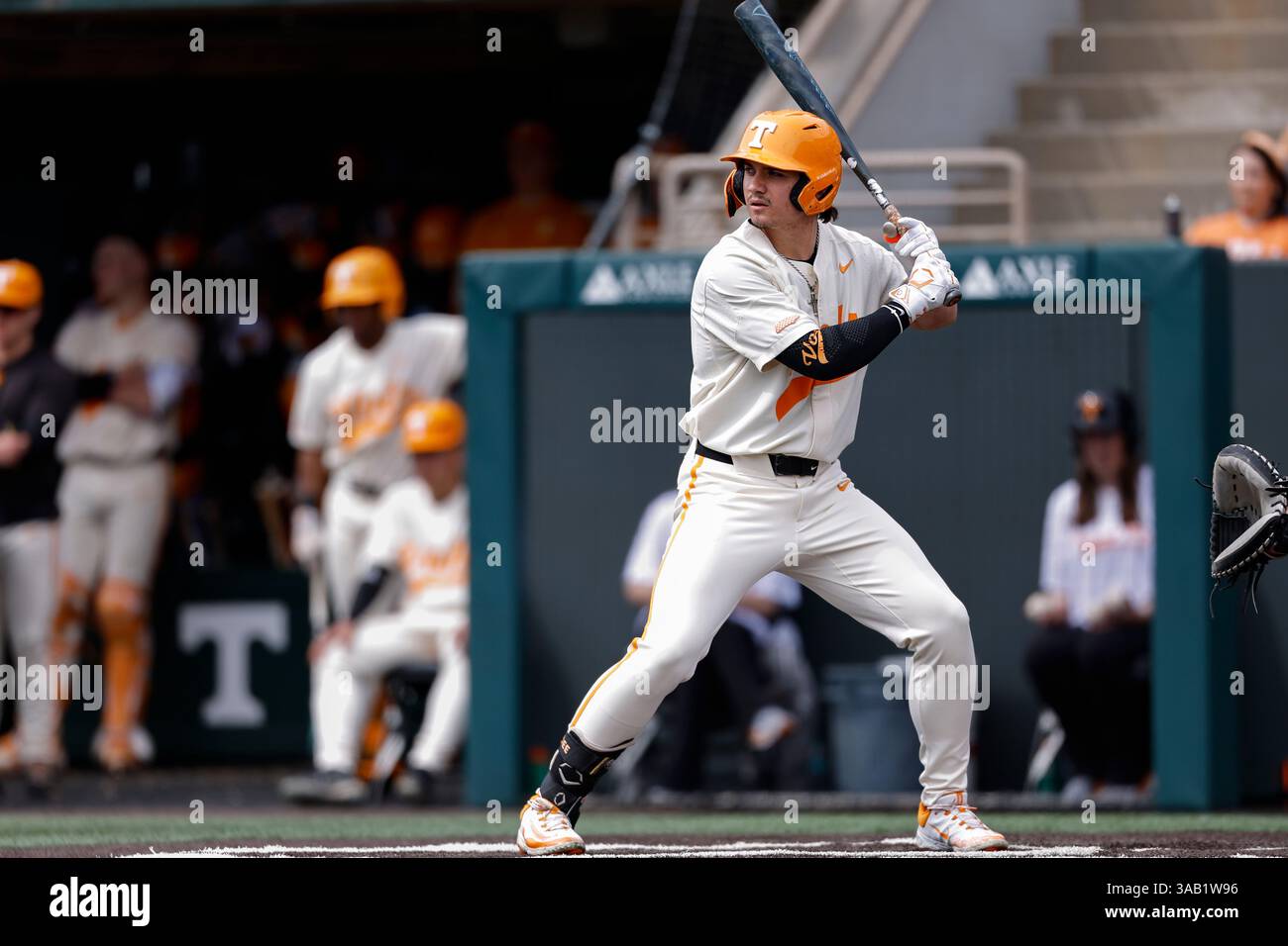 Tennessee Volunteers right fielder Reese Chapman (13) at bat against ...