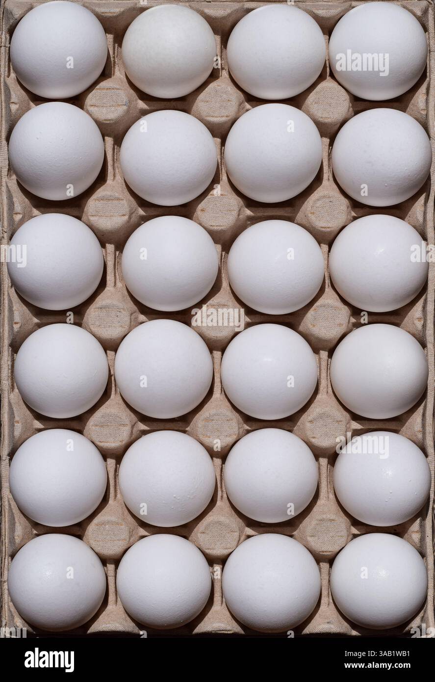 Carton with white eggs background with bright sunlight and hard shadows ...