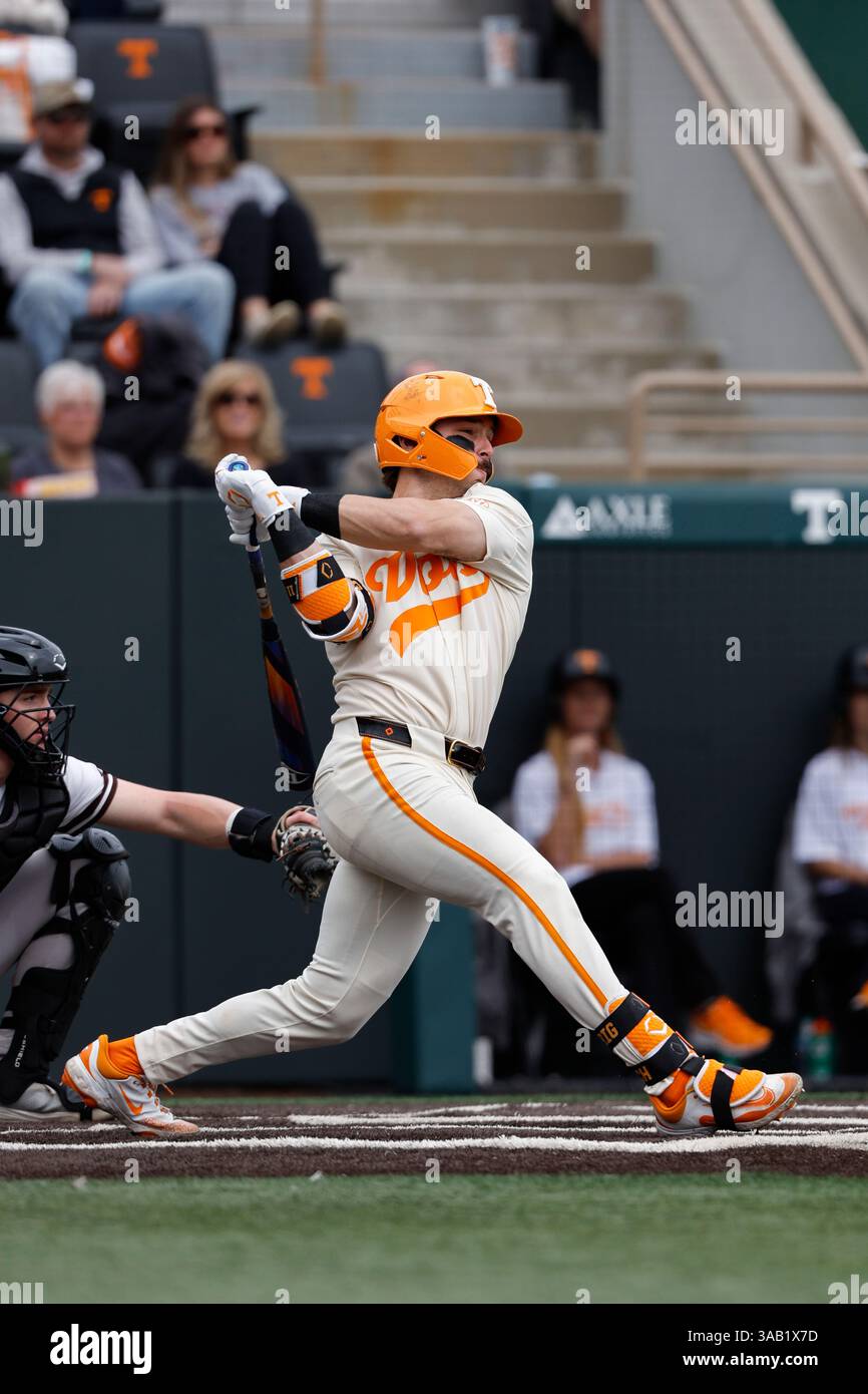 Tennessee Volunteers first baseman Andrew Fischer (11) at bat against ...