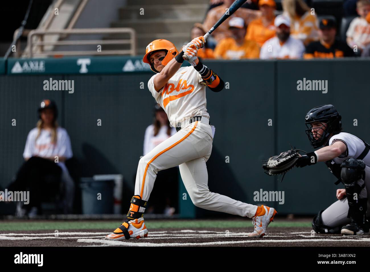Tennessee Volunteers third baseman Manny Marin (4) at bat against the ...