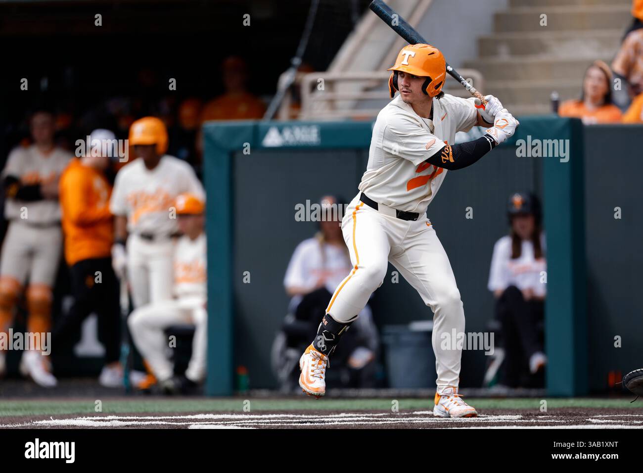 Tennessee Volunteers right fielder Reese Chapman (13) at bat against ...