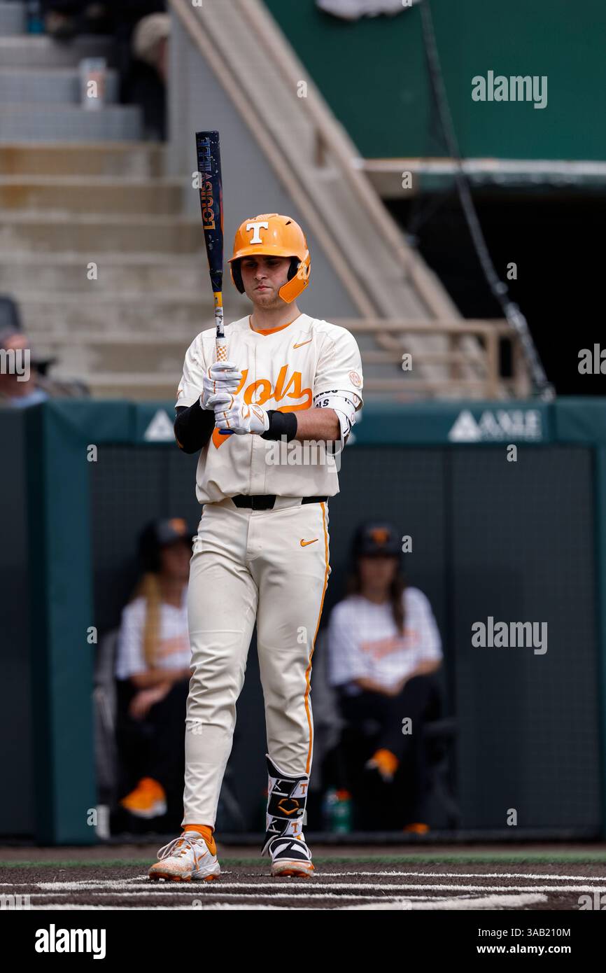 Tennessee Volunteers catcher Stone Lawless (27) at bat against the St ...