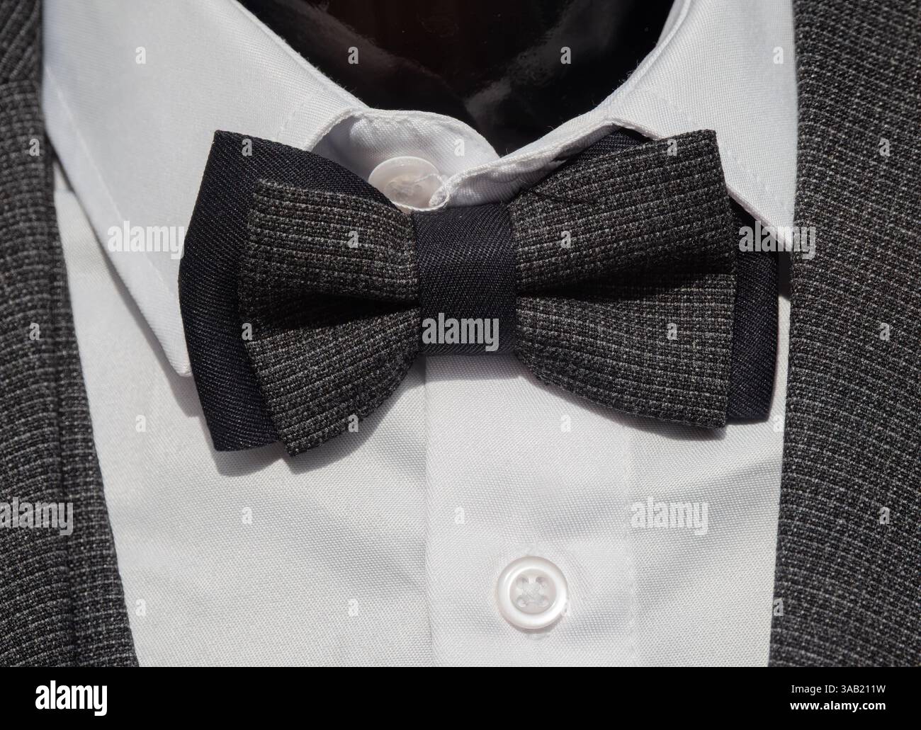 Tailored gray suit complemented hi-res stock photography and images - Alamy