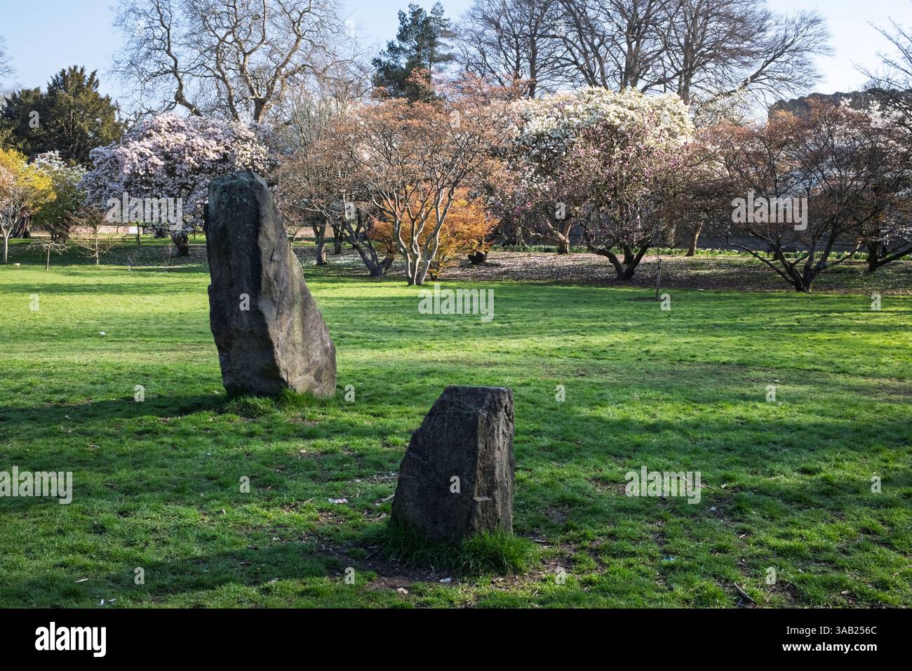 Spring in Bute Park, Cardiff Stock Photo - Alamy