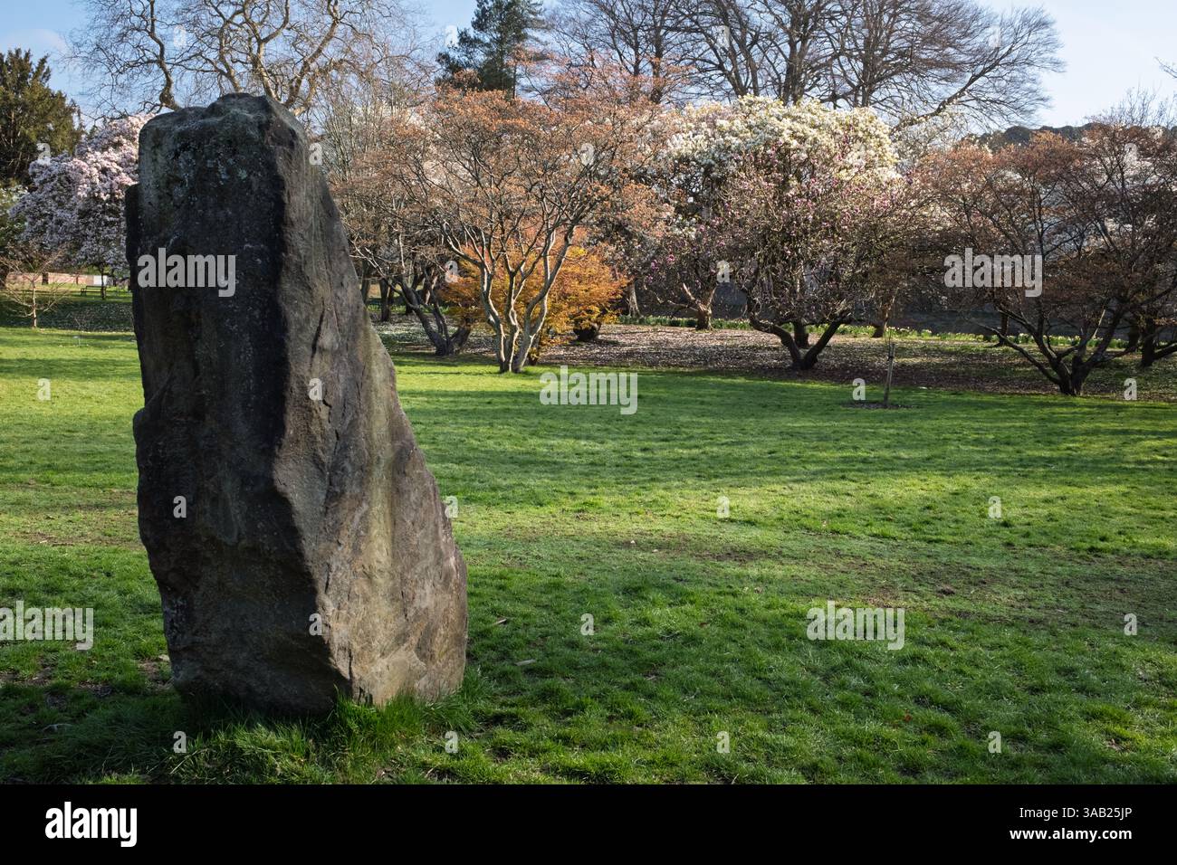 Spring in Bute Park, Cardiff Stock Photo - Alamy