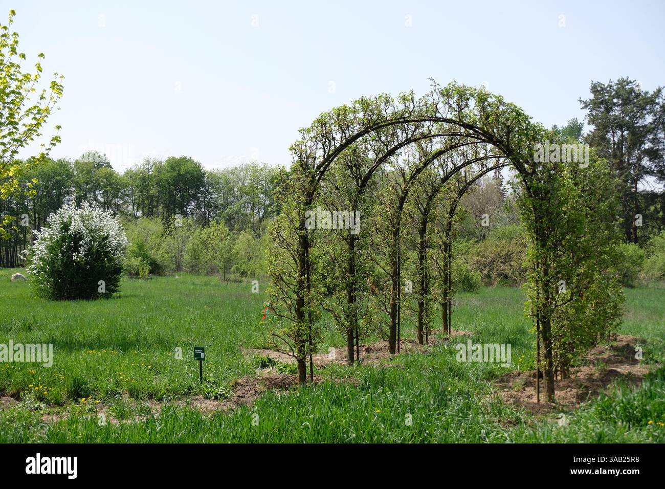 Trees and shrubs in the Botanical garden Stock Photo - Alamy