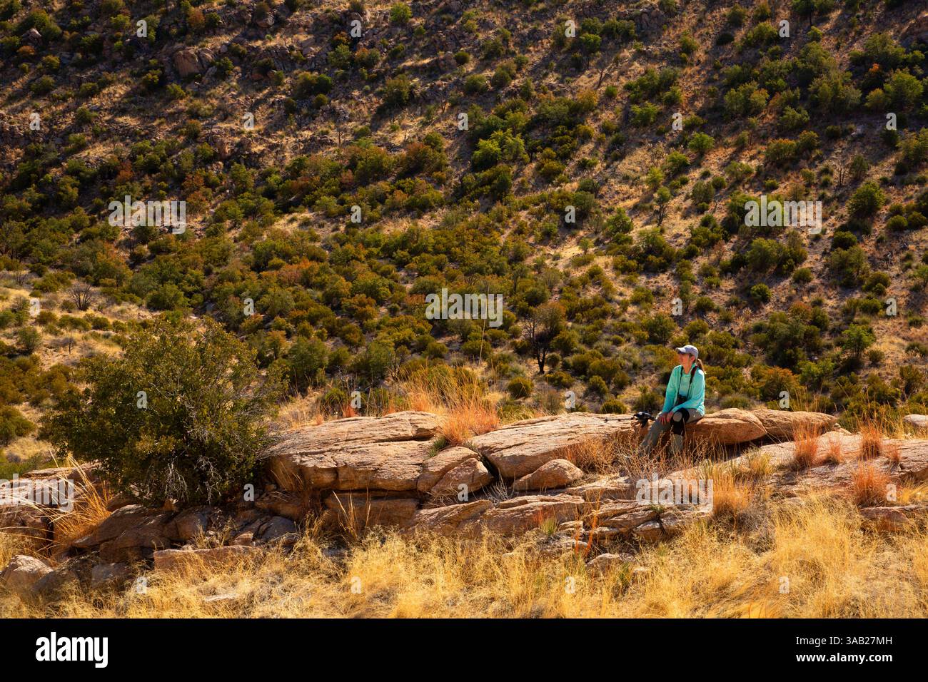 Viewpoint along Bug Spring Trail, Coronado National Forest, Mt Lemmon ...
