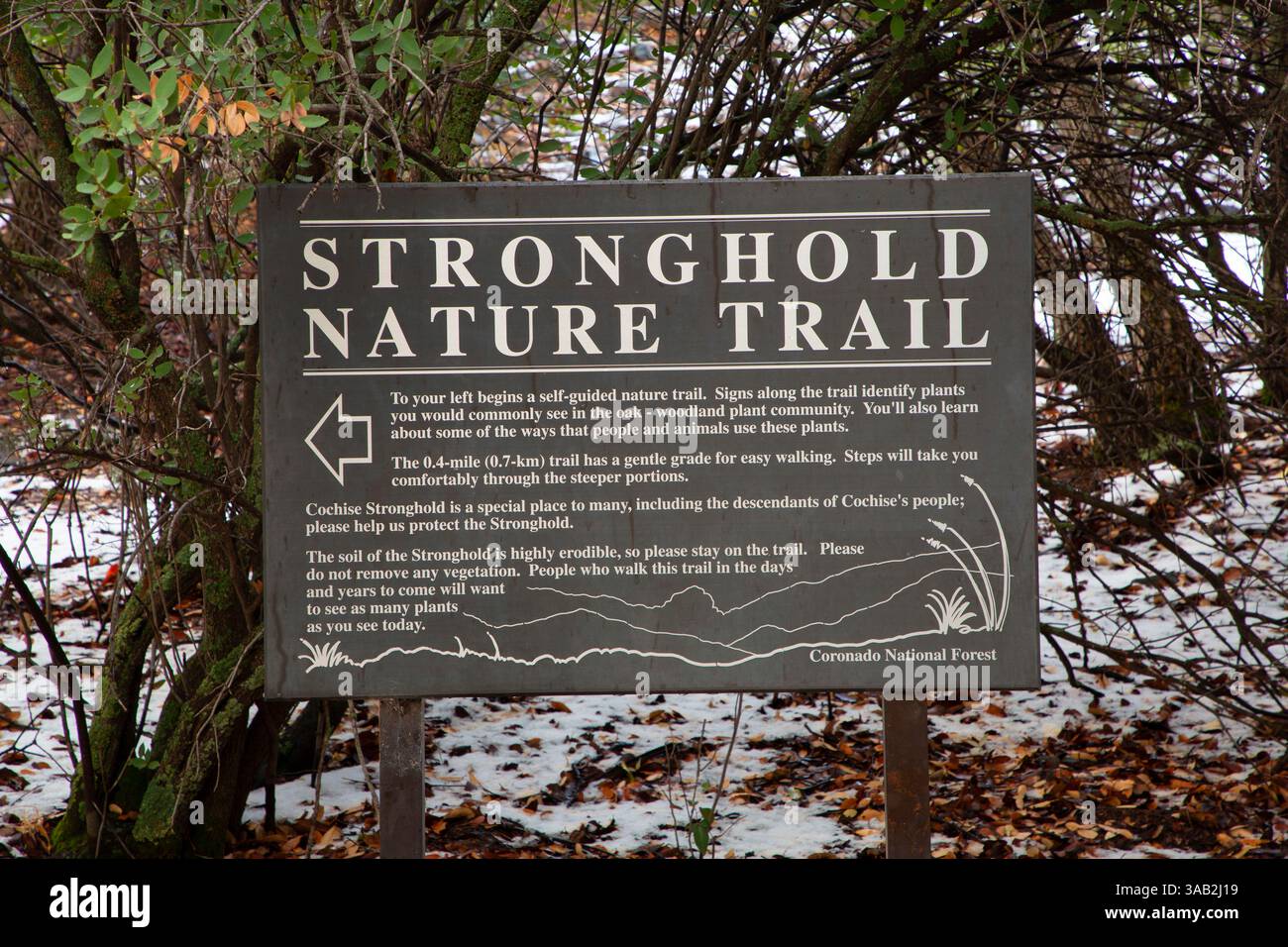 Stronghold Nature Trail sign, Coronado National Forest, Arizona Stock ...
