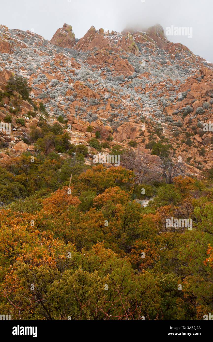 Dragoon Mountains from Cochise Trail, Coronado National Forest, Arizona ...