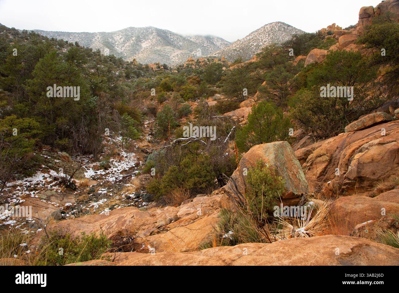 Dragoon Mountains from Cochise Trail, Coronado National Forest, Arizona ...