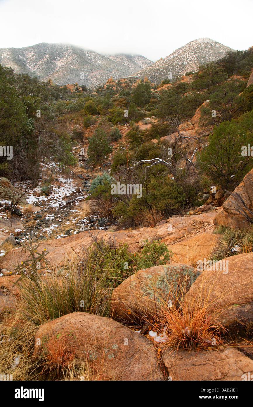 Dragoon Mountains from Cochise Trail, Coronado National Forest, Arizona ...