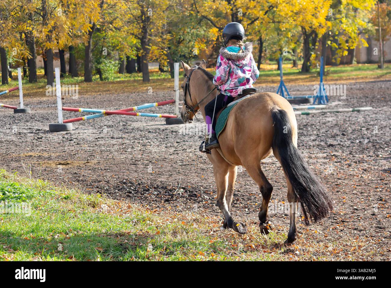 Female horseback rider in training show jumping. Sport Stock Photo - Alamy